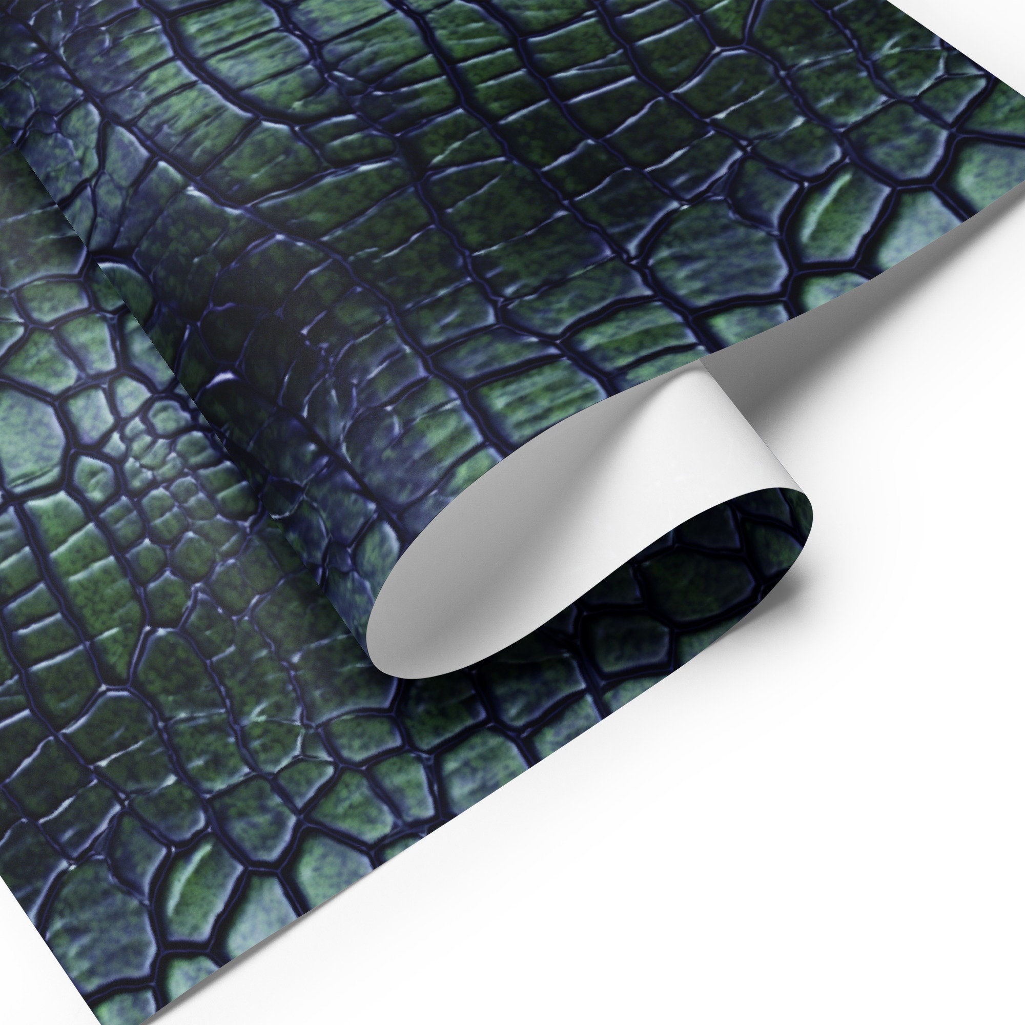 Alligator Wrapping Paper Set Reptile Gift Wrap Birthday Gift - Etsy