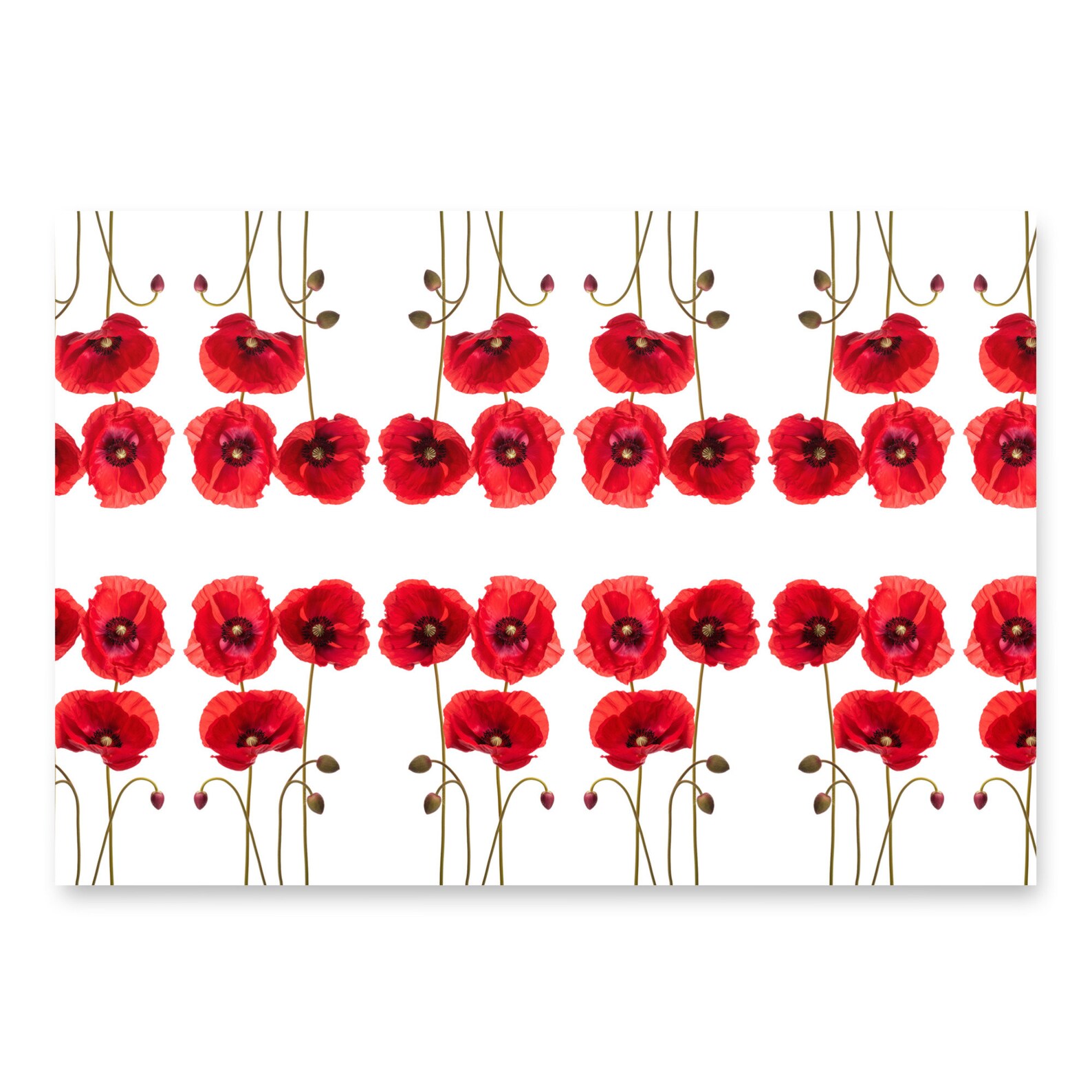 Elegant Poppies Wrapping Paper Set Birthday Gift Wrap Christmas Gift ...