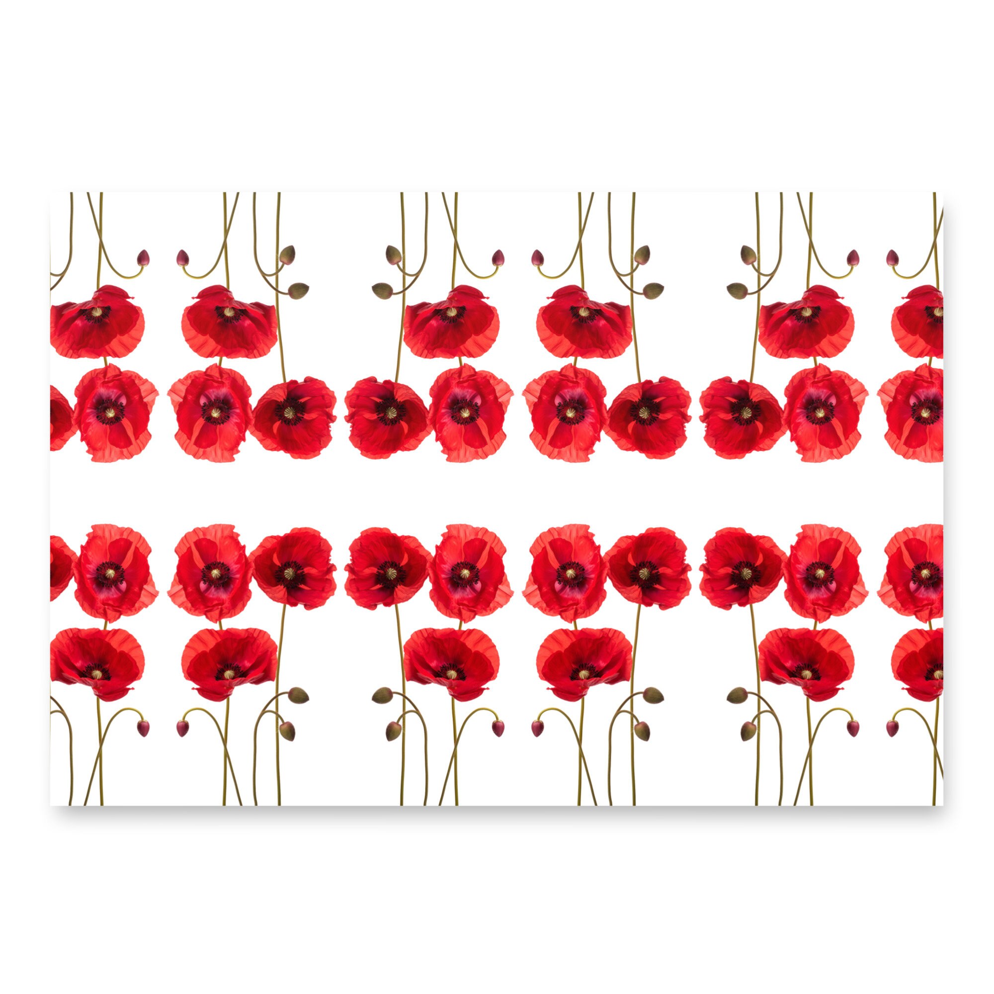 Elegant Poppies Wrapping Paper Set Birthday Gift Wrap Christmas Gift ...