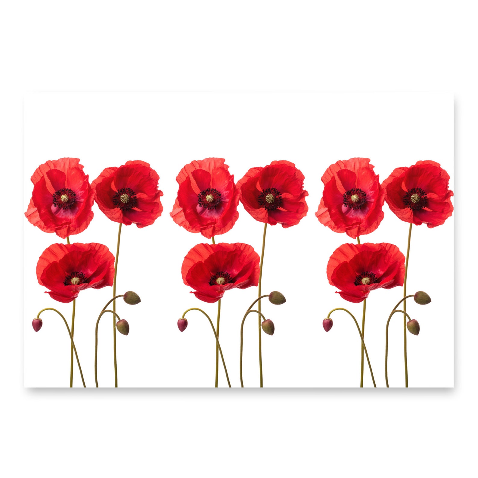 Elegant Poppies Wrapping Paper Set Birthday Gift Wrap Christmas Gift ...