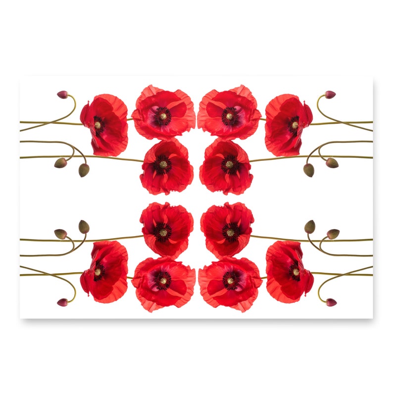 Elegant Poppies Wrapping Paper Set Birthday Gift Wrap Christmas Gift ...