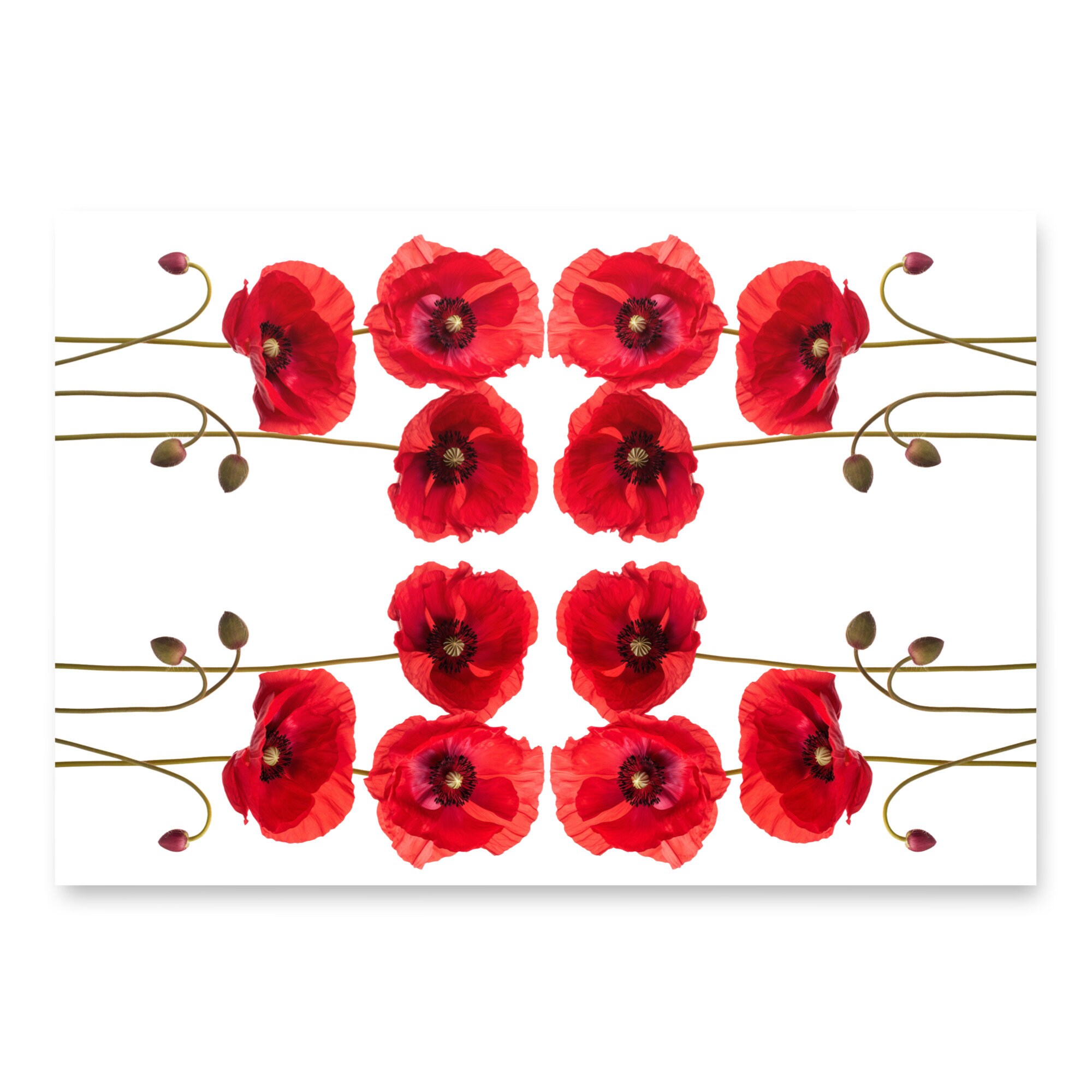 Elegant Poppies Wrapping Paper Set Birthday Gift Wrap Christmas Gift ...