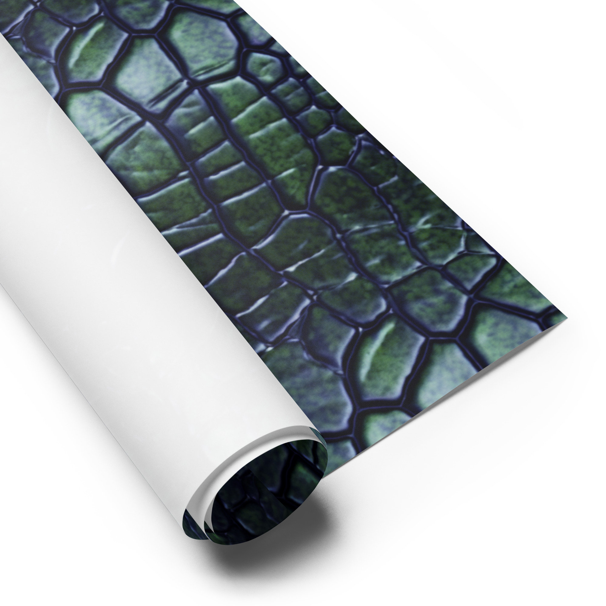 Alligator Wrapping Paper Set Reptile Gift Wrap Birthday Gift - Etsy