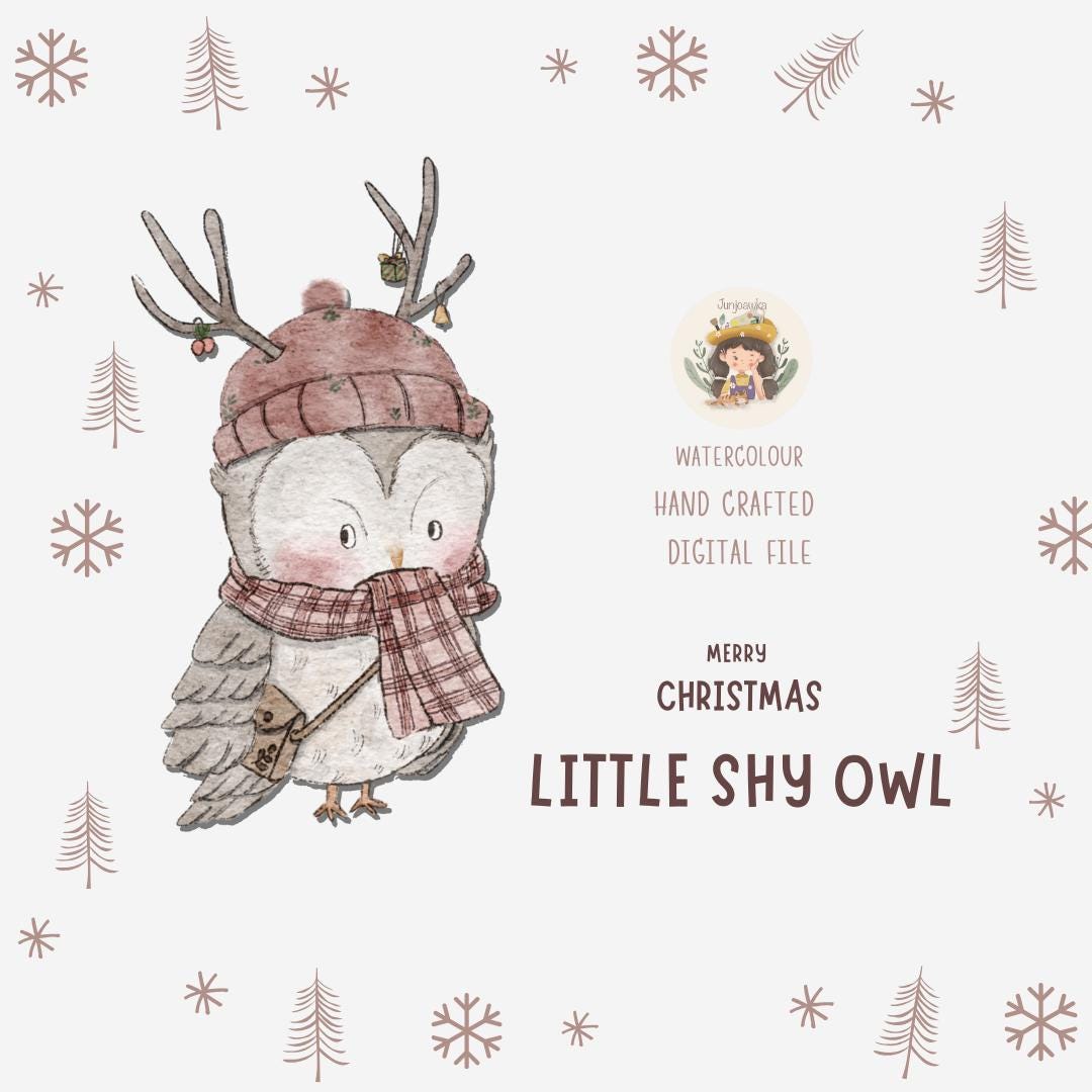 Christmas Owl Watercolor Clipart,cute Winter and Woodland Animal,owl ...