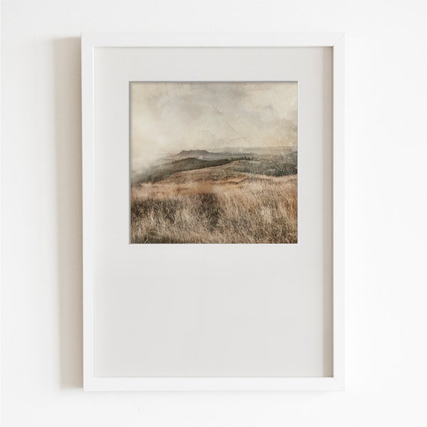 Dried Grass - Etsy