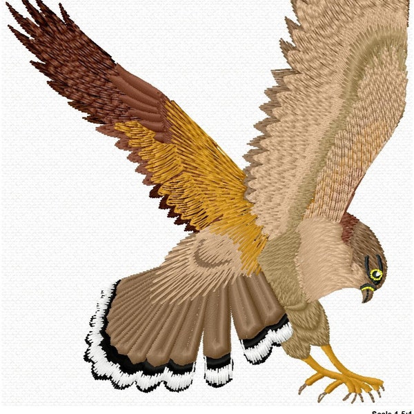 Falcon Embroidery Design - Etsy