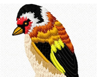 Falcon Bird Design, Pattern for Machine Embroidery Design, 2 Sizes, Pes ...