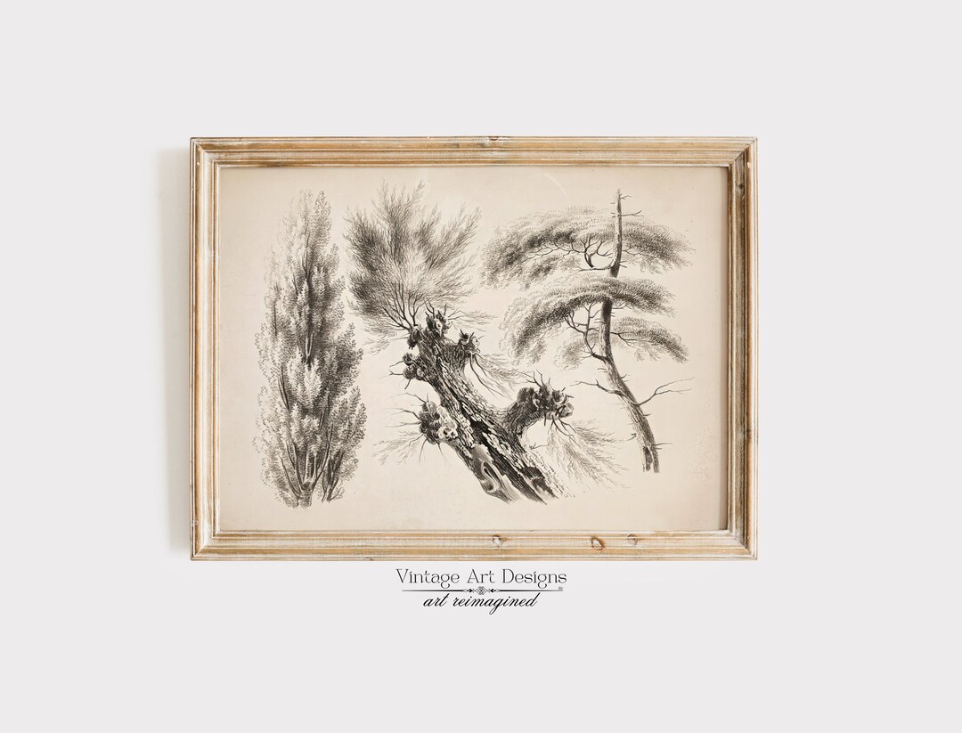 Sketch Antique Sketch, Printable Vintage, Digital Wall Art, Digital Art ...
