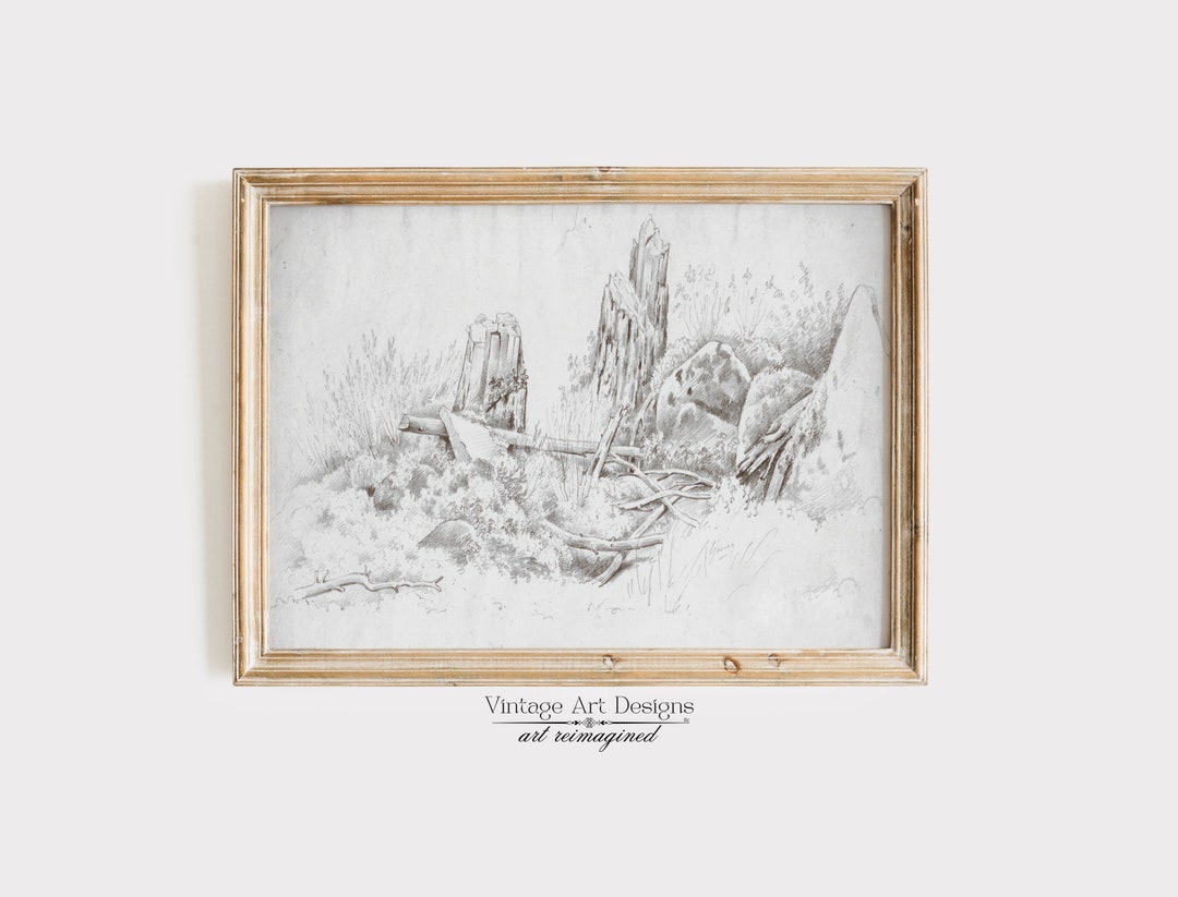 Antique Drawing, Sketch Vintage Prints, Vintage Drawing, Fine Art ...