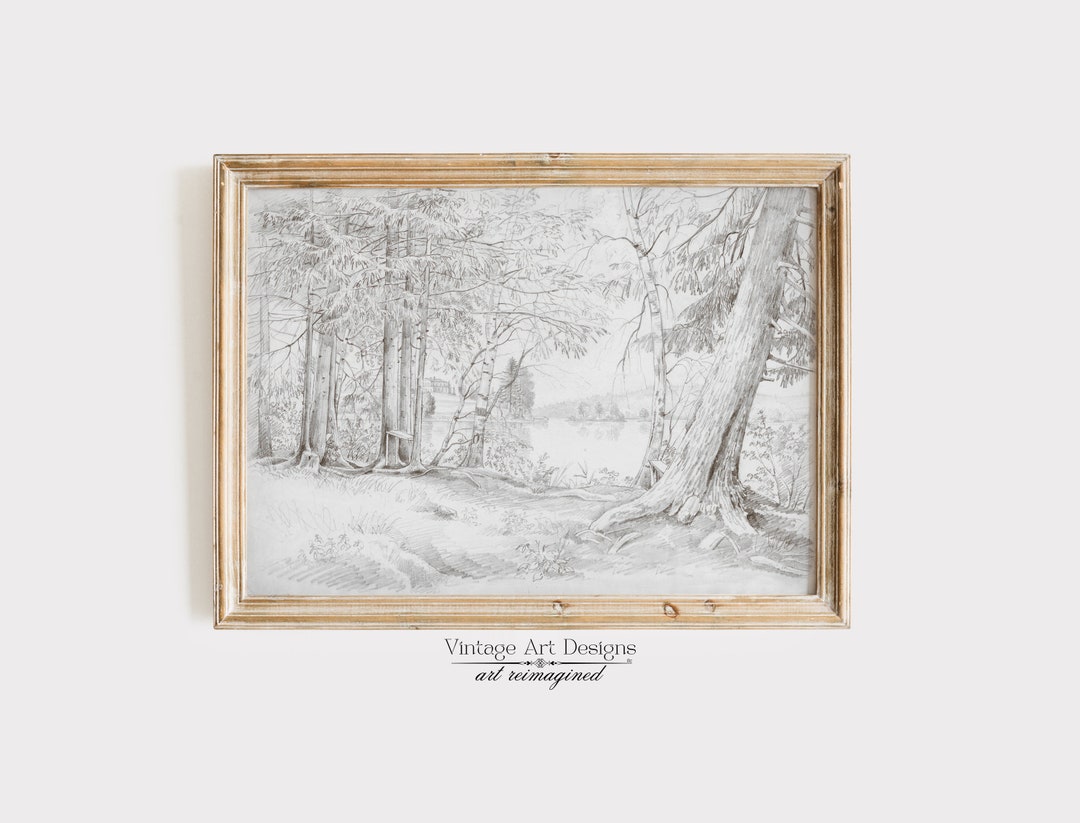 Sketch Downloadable Art, Antique Drawing, Antique Print, Vintage Art ...