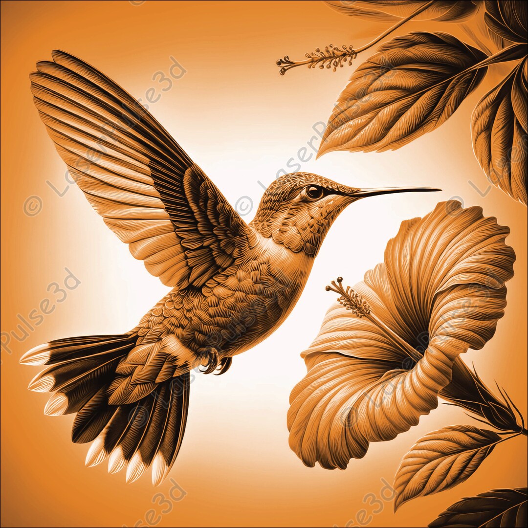 Hummingbird Laser Engrave Image | Laser Burn PNG File | 3D Laser Ready ...