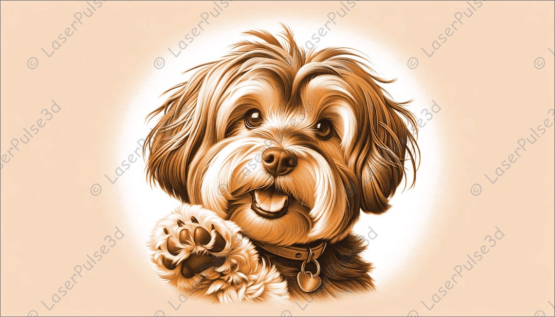 Havanese Laser Engrave Image | Laser Burn PNG File | 3D Laser Ready ...