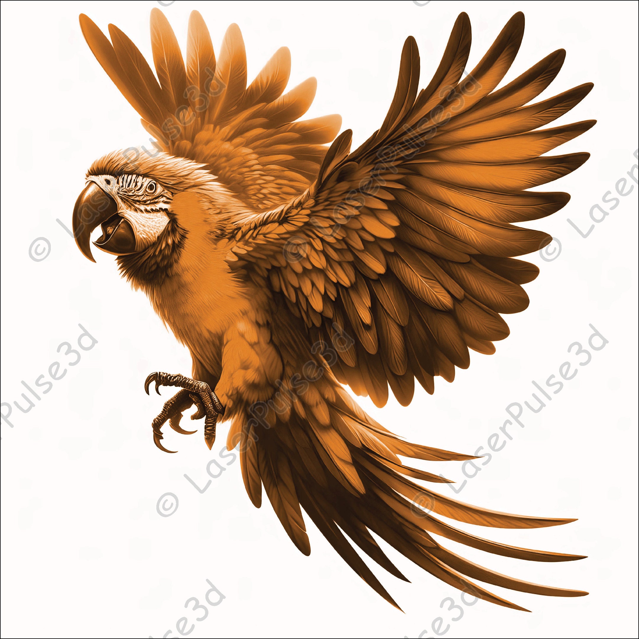 Parrot Laser Engrave Image Laser Burn PNG File 3D Laser - Etsy