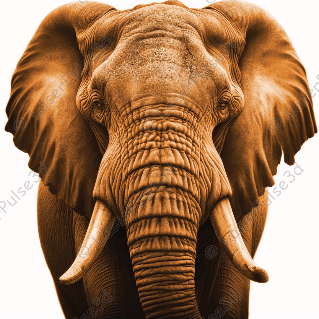 Elephant Laser Engrave Image | Laser Burn PNG File | 3D Laser Ready ...