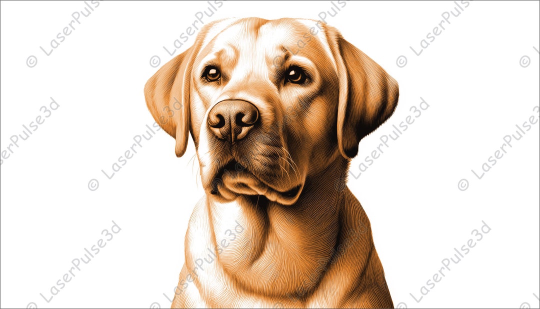 Labrador Retriever Laser Engrave Image | Laser Burn PNG File | 3D Laser ...