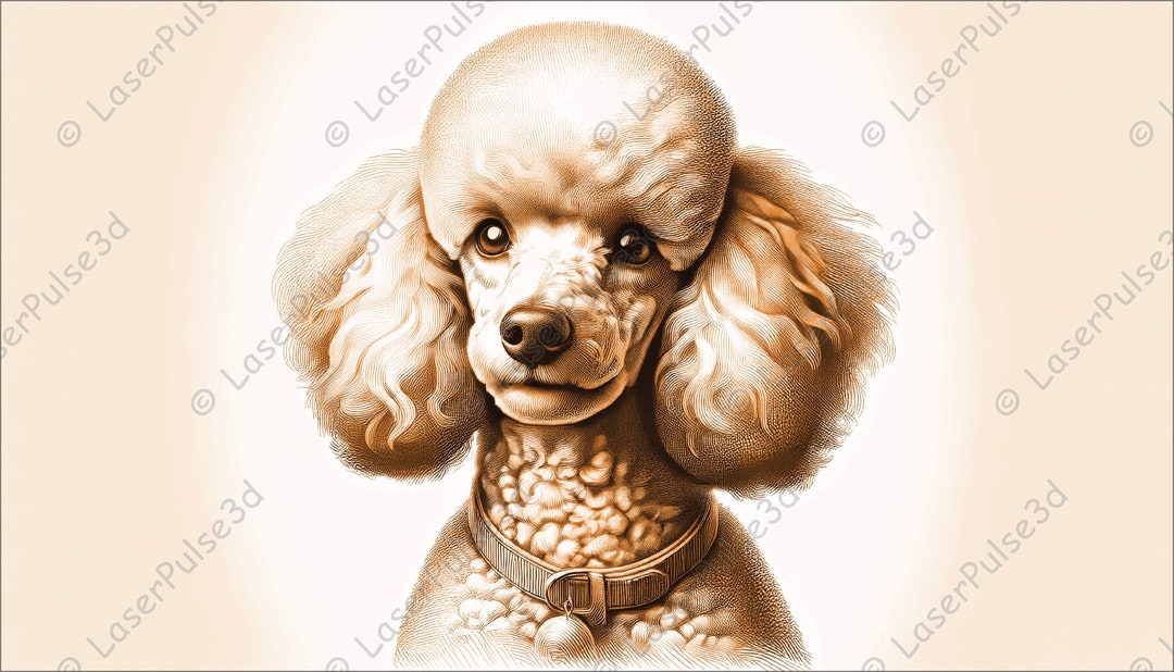 Poodle Laser Engrave Image | Laser Burn PNG File | 3D Laser Ready File ...