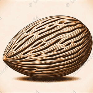 Almond Nut Laser Engrave Image | Laser Burn PNG File | 3D Laser Ready ...