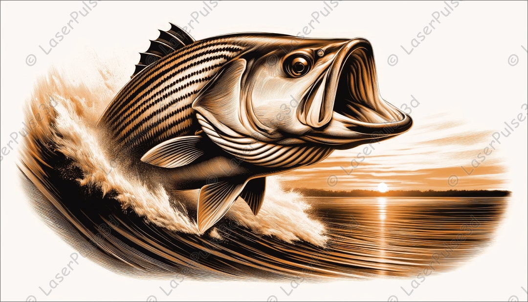 Striped Bass Laser Engrave Image | Laser Burn PNG File | 3D Laser Ready ...