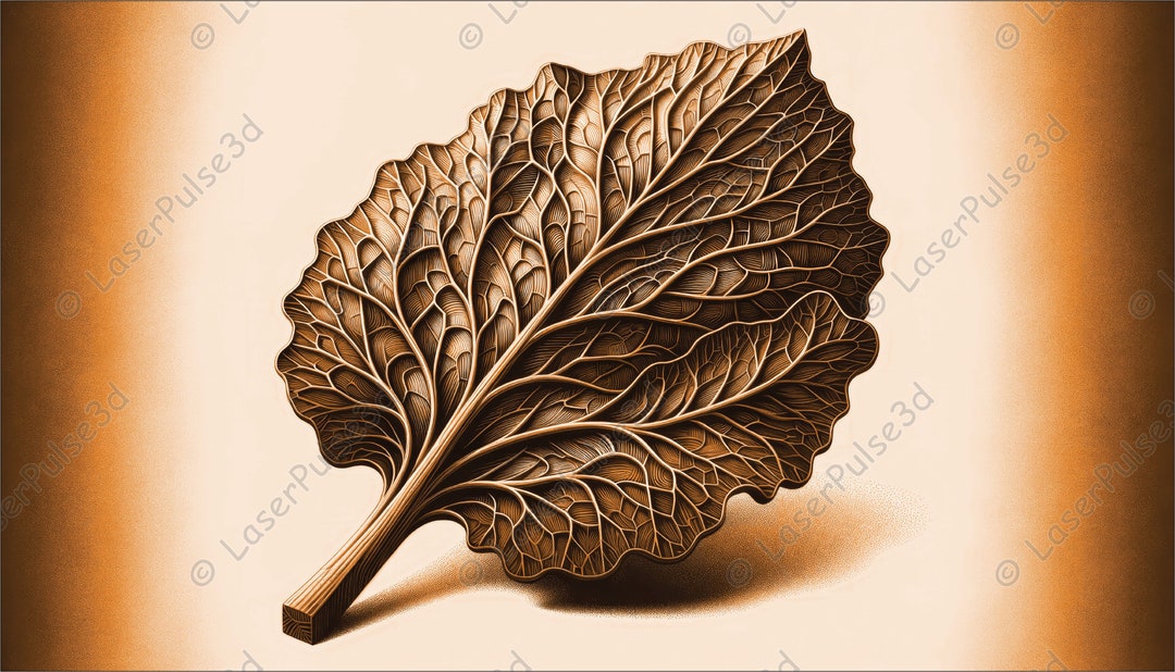 Red Cabbage Leaf Laser Engrave Image | Laser Burn PNG File | 3D Laser ...