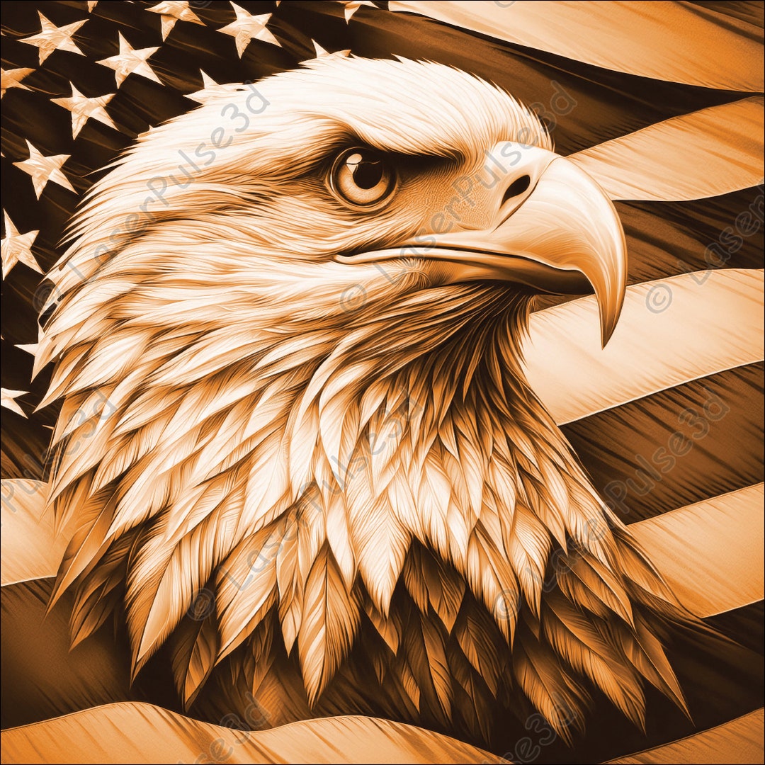 American Eagle & Flag Laser Engrave Image | Laser Burn PNG File | 3D ...