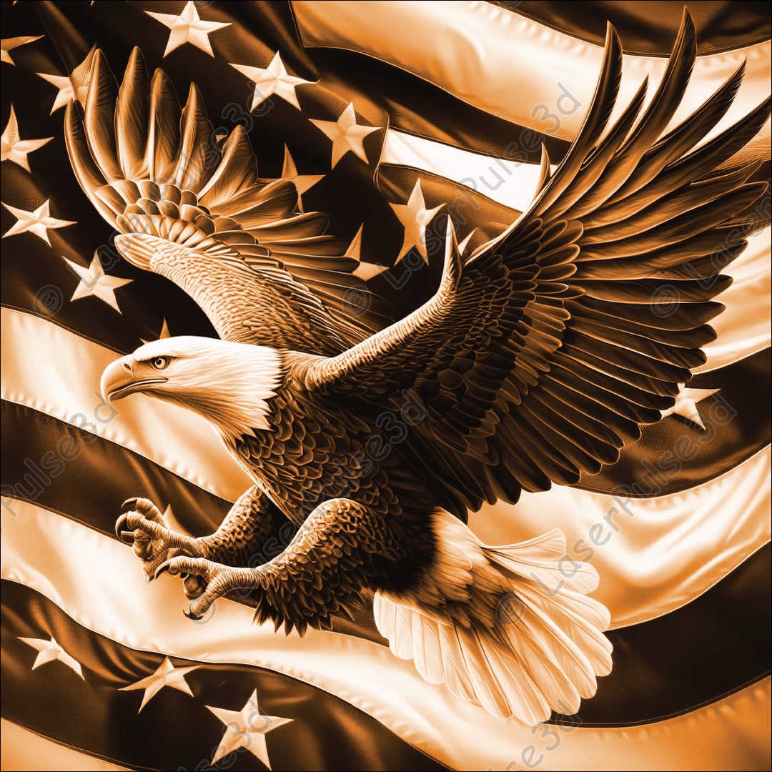 American Eagle Laser Engrave Image | Laser Burn PNG File | 3D Laser ...