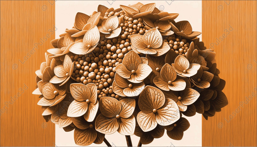Hydrangea Flower Laser Engrave Image | Laser Burn PNG File | 3D Laser ...