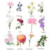 Custom Birth Flower Family Print Personalized Family Sign Month Flower ...