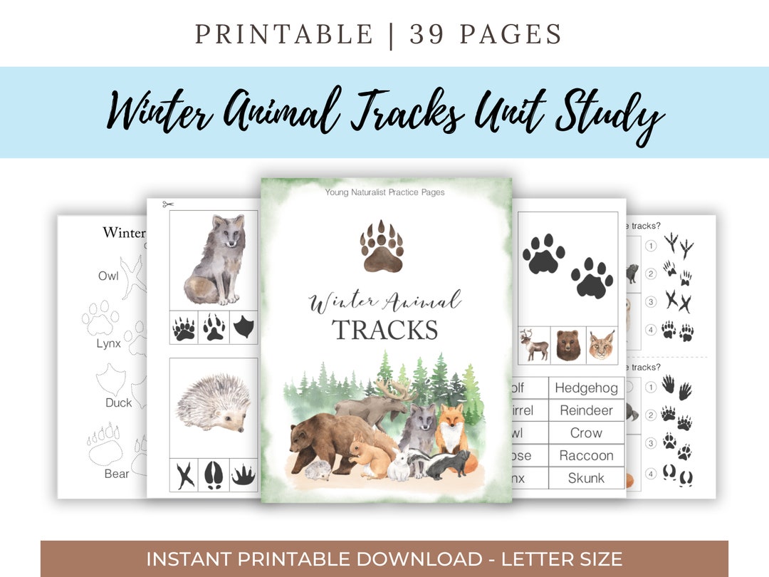 Winter Animal Tracks Unit Study Kindergarten Posters Handwriting Game ...