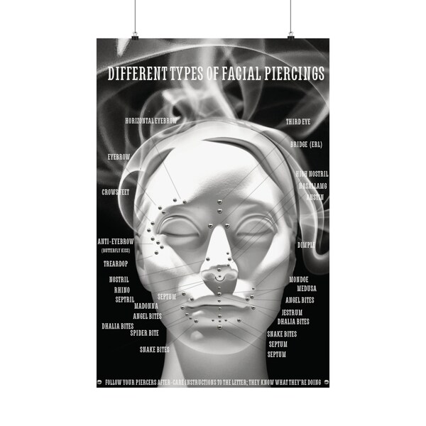 Facial Chart of Piercings - Etsy