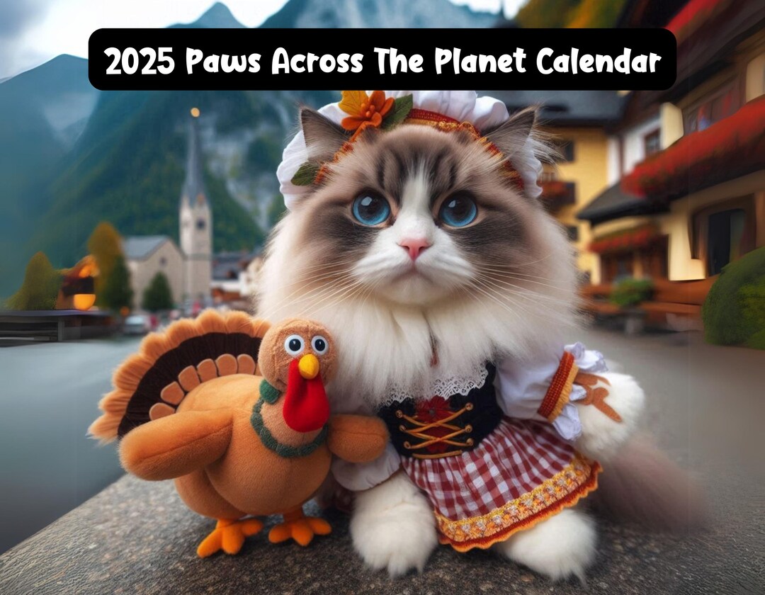 Cute Cats World Wall Calendar, 2025 Animal Planner, International ...