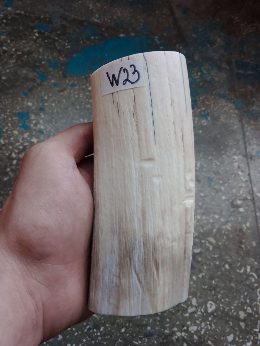 Walrus Tusk Block for Scrimshaw Handle, Resin Reproduction Replica N/0 ...