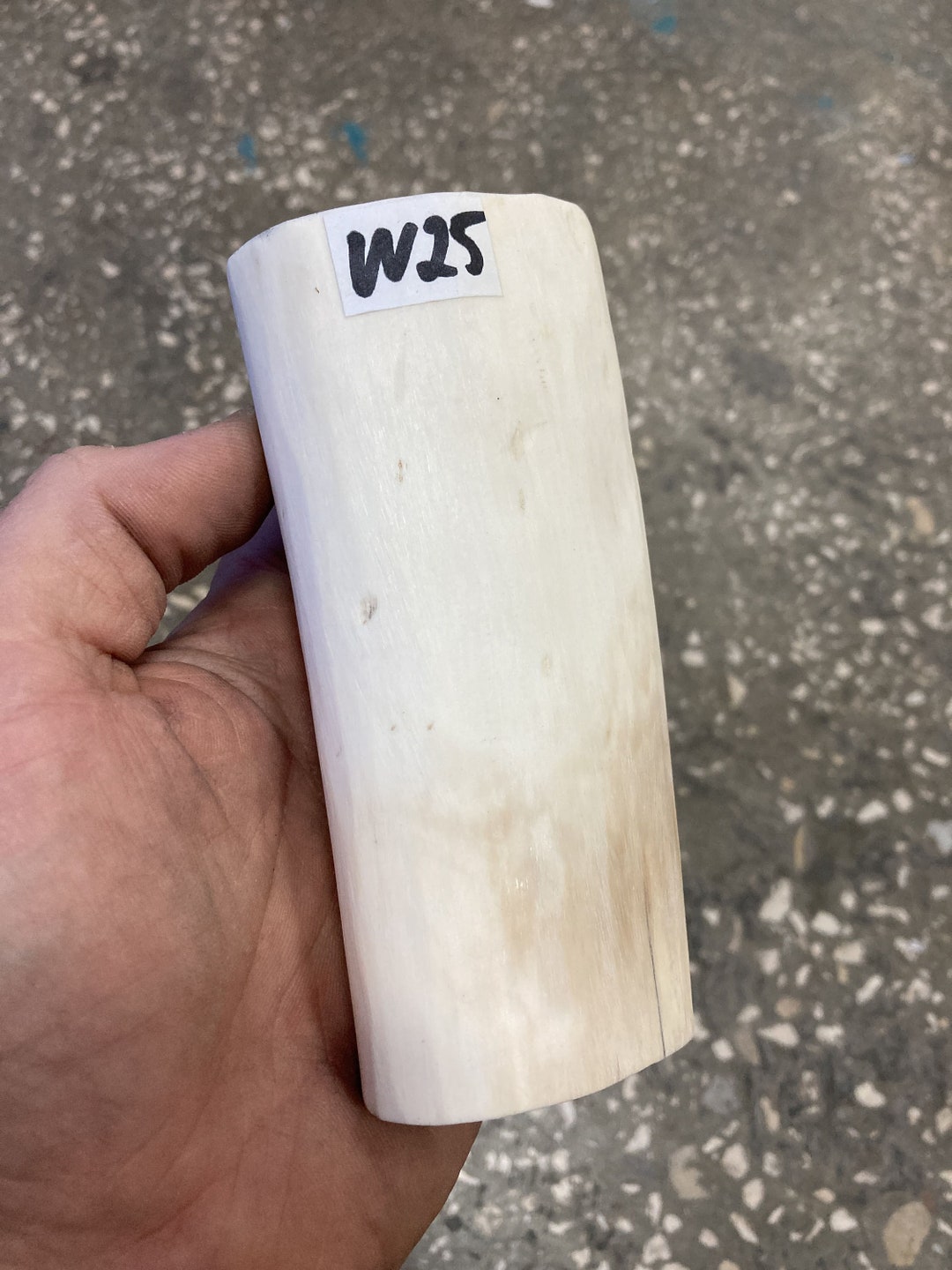 Walrus Tusk Block for Scrimshaw Handle, Resin Reproduction Replica N/0 ...