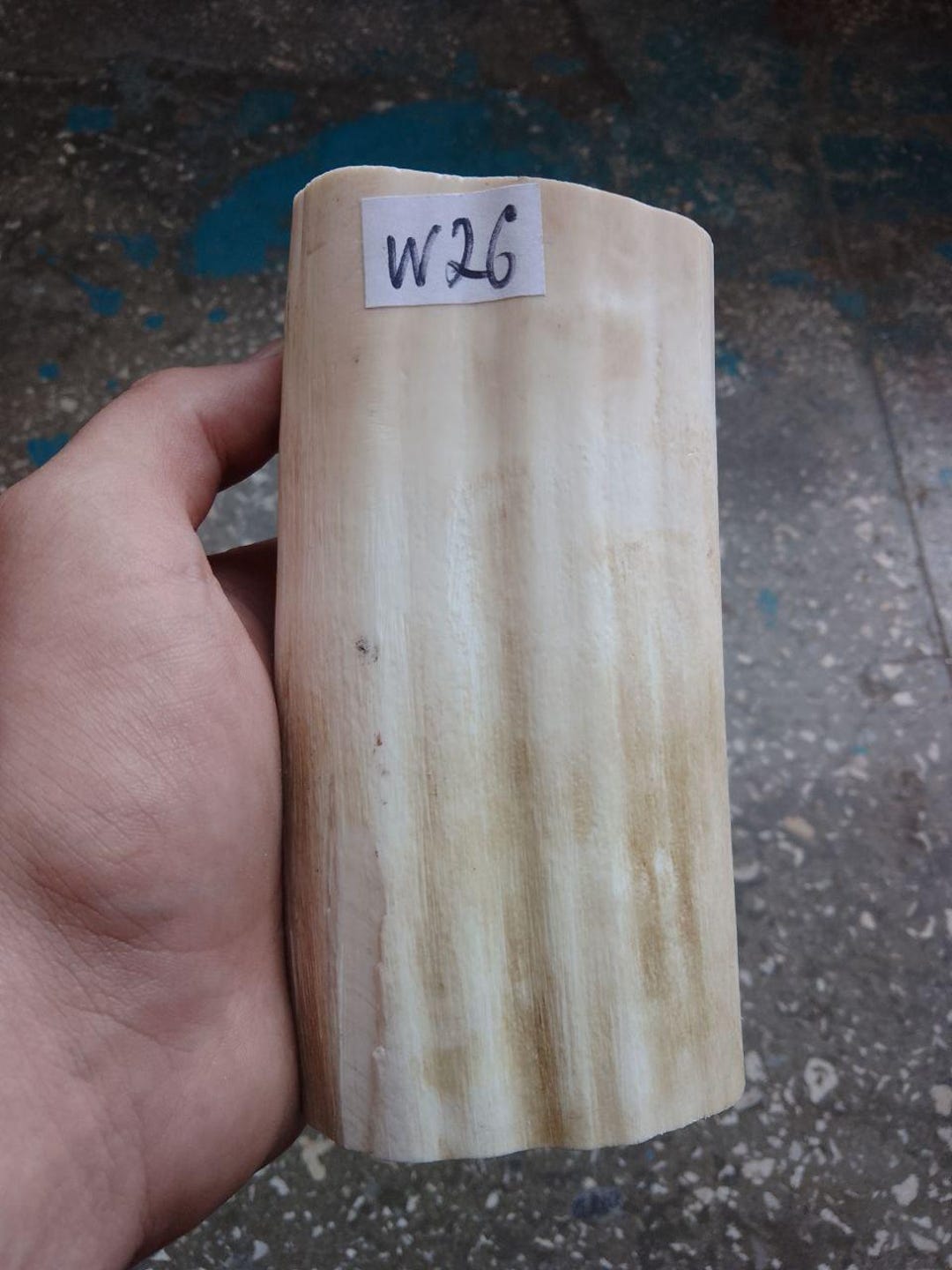 Walrus Tusk Block for Scrimshaw Handle, Resin Reproduction Replica N/0 ...