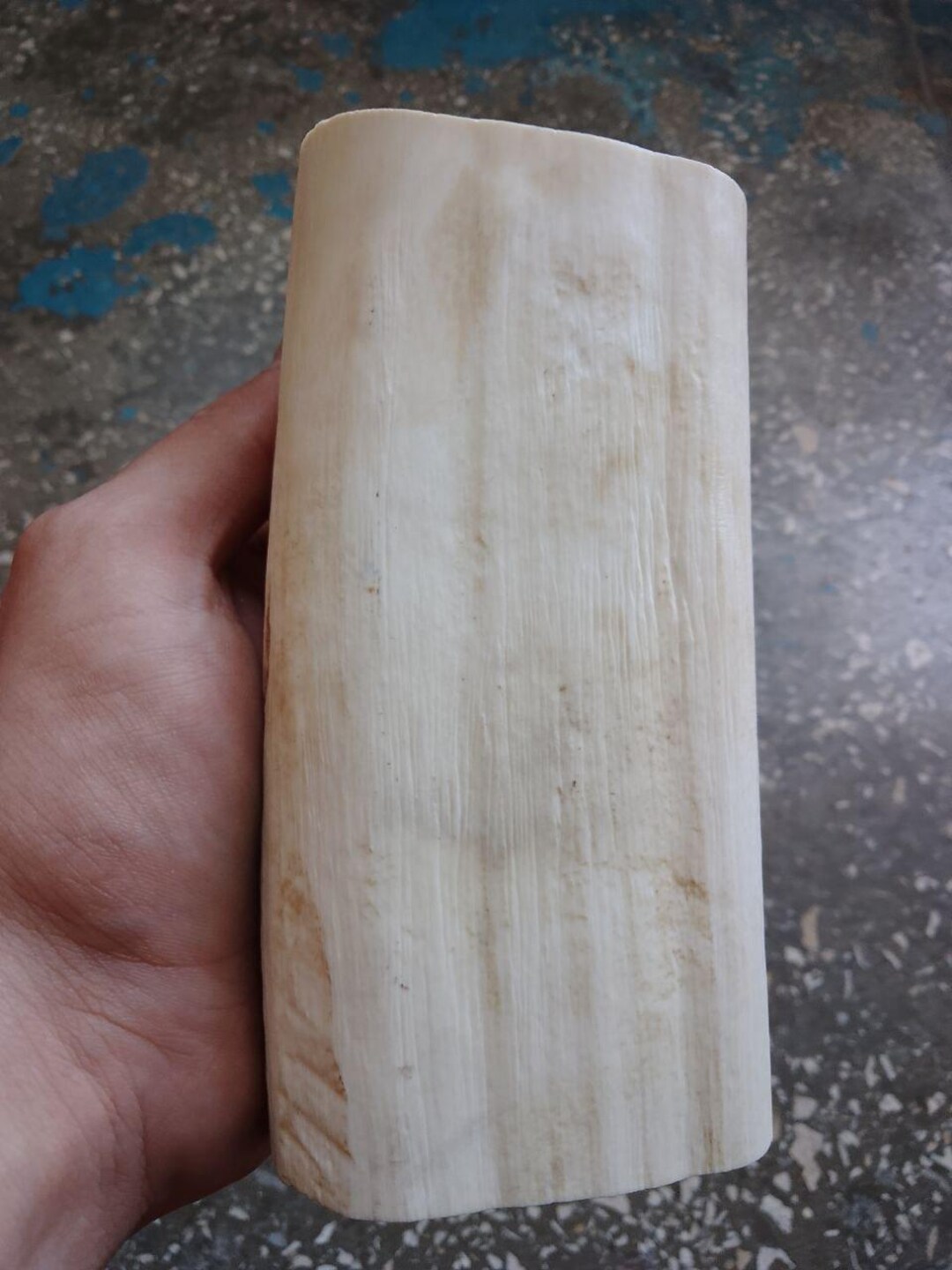 Walrus Tusk Block for Scrimshaw Handle, Resin Reproduction Replica N/0 ...