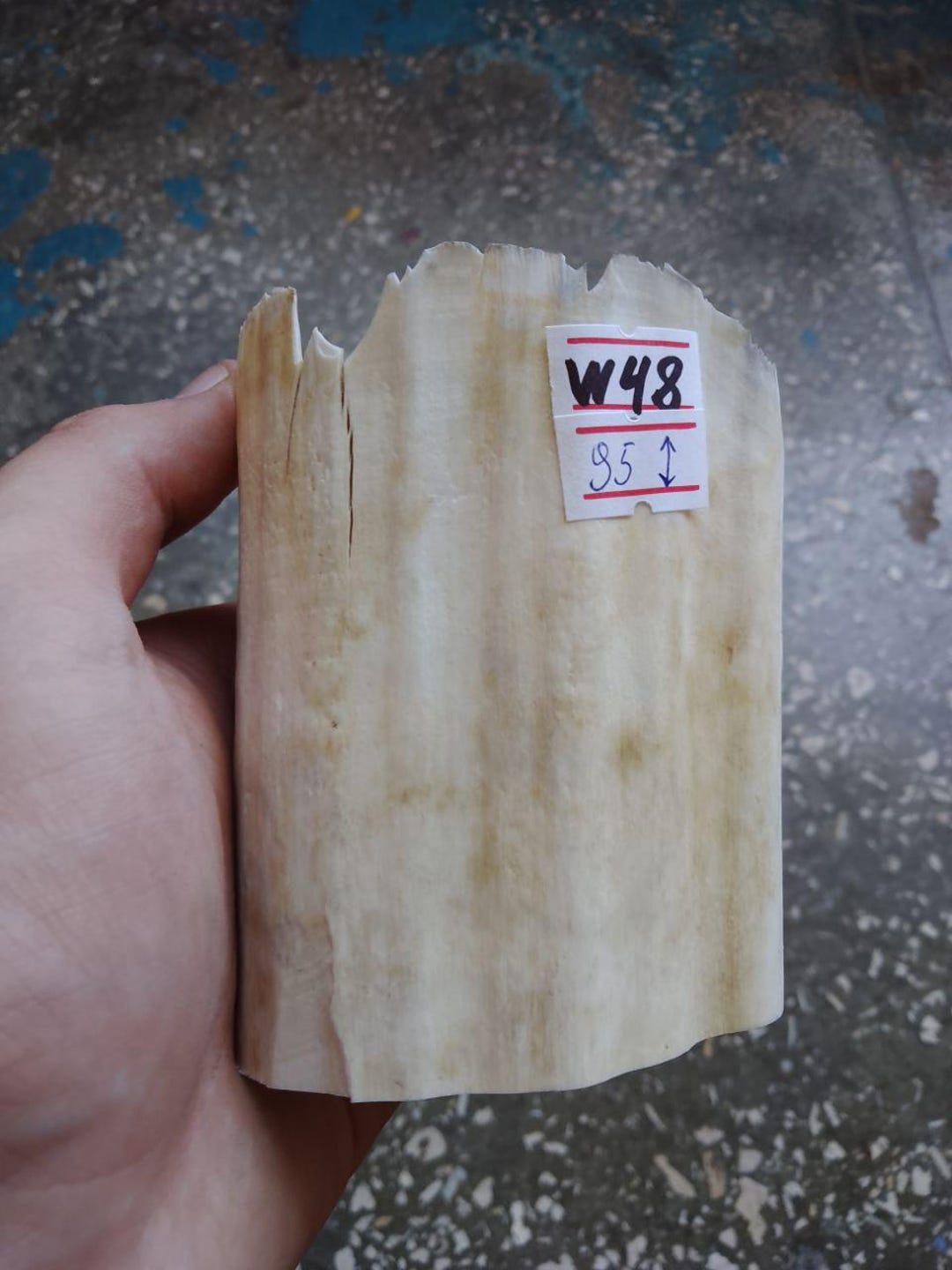 Walrus Tusk Block for Scrimshaw Handle, Resin Reproduction Replica N/0 ...