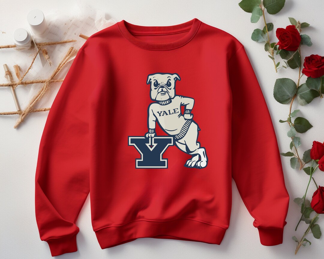 Yale University Sweatshirt, Yale Spirit Hoodie, Yale Pride, Intellect ...