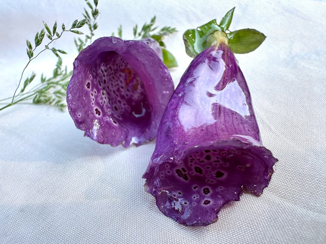 Real Foxglove Flower Earrings, Handmade Flower Resin Earrings, Dired ...