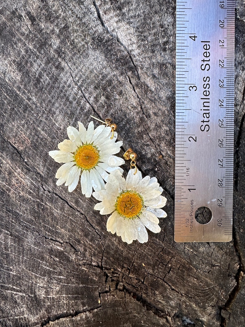Real Wild Daisy Flower Earrings, Flower Epoxy Resin Earrings, Chamomile ...