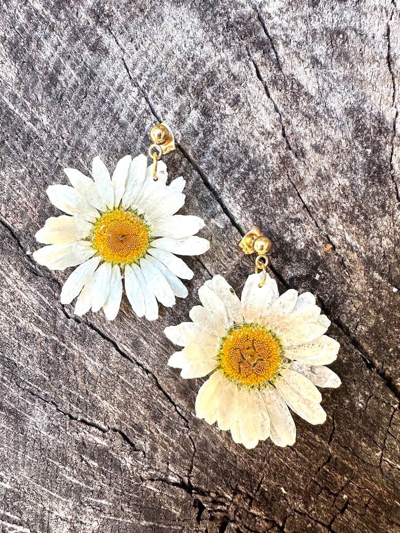 Real Wild Daisy Flower Earrings, Flower Epoxy Resin Earrings, Chamomile ...