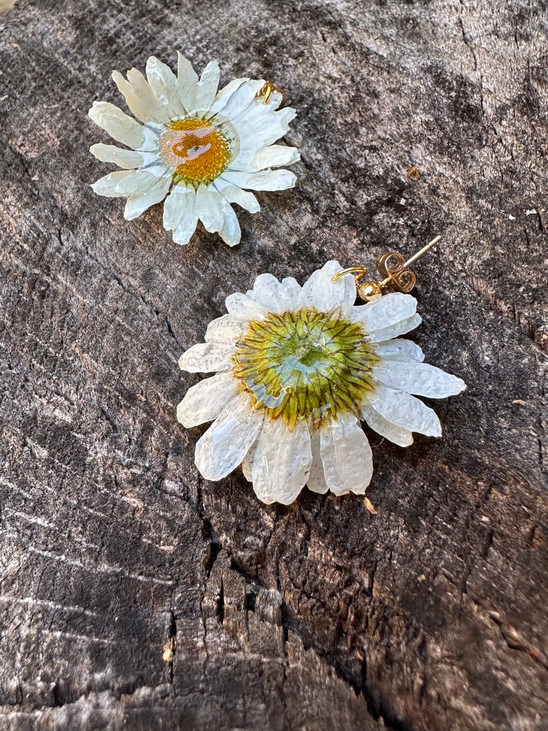 Real Wild Daisy Flower Earrings, Flower Epoxy Resin Earrings, Chamomile ...