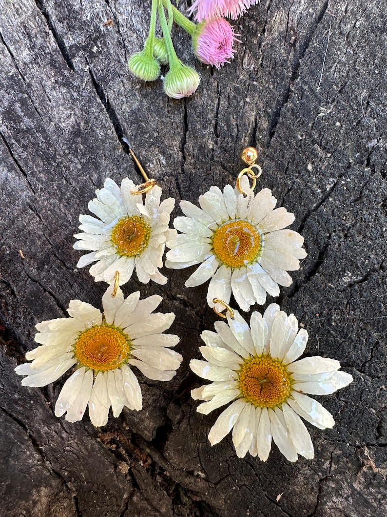 Real Wild Daisy Flower Earrings, Flower Epoxy Resin Earrings, Chamomile ...
