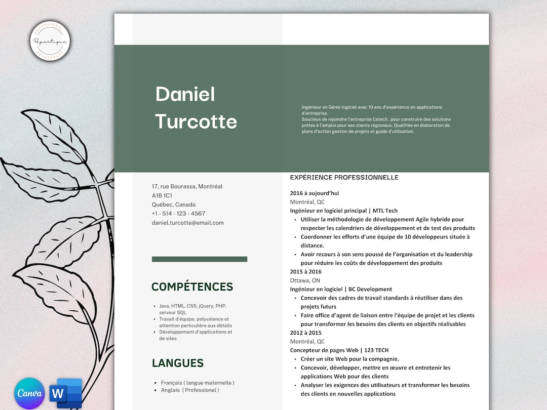 CV Template, Professional, French, Canva, Word, Minimalist, in French ...