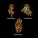 Arabic Calligraphy in Country Map Style | Map Style Calligraphy Design ...