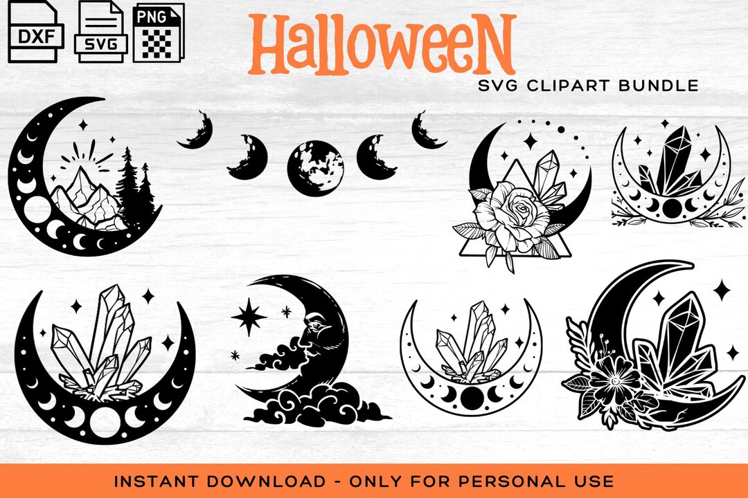 Floral Moon Phases Bundle Png Celestial Moon Design Botanical Moon ...