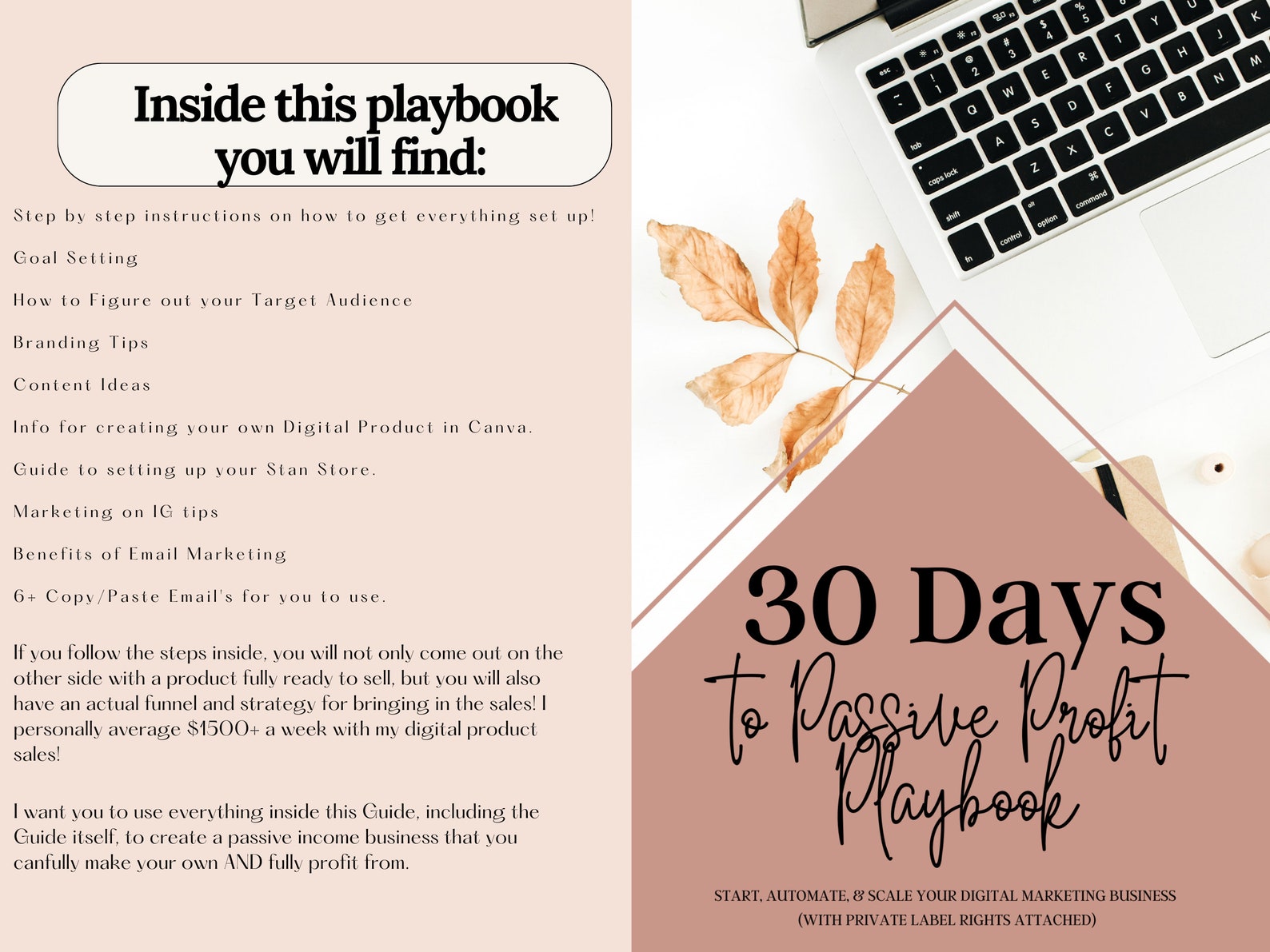 Passive Profit Playbook With Transferable PLR. Digital Marketing ...