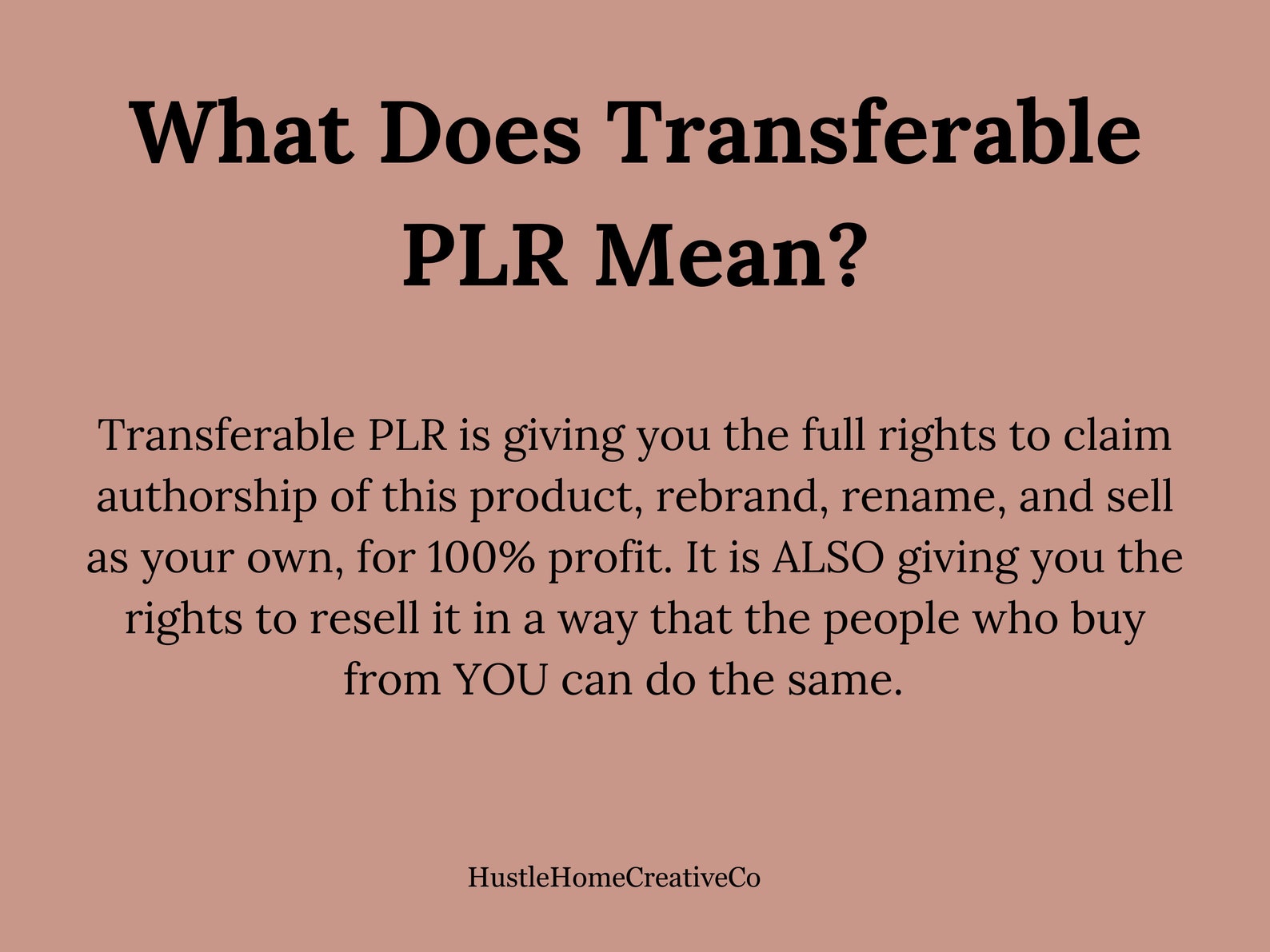 Passive Profit Playbook With Transferable PLR. Digital Marketing ...