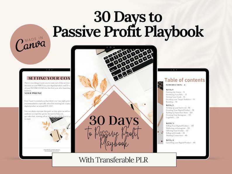 Passive Profit Playbook With Transferable PLR. Digital Marketing ...