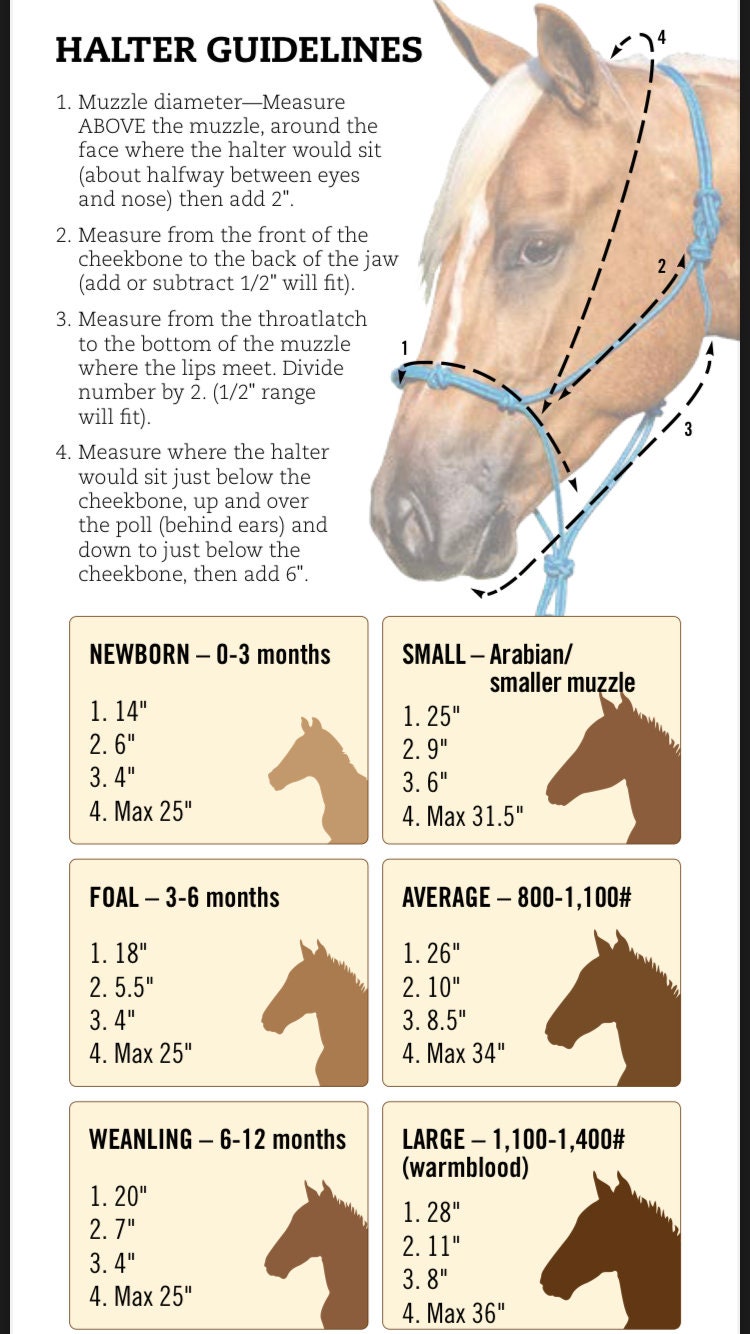 4-knot Rope Halter Only Assorted Colors Newborn/foal/mini/yearling/weanling/arabian/average ...