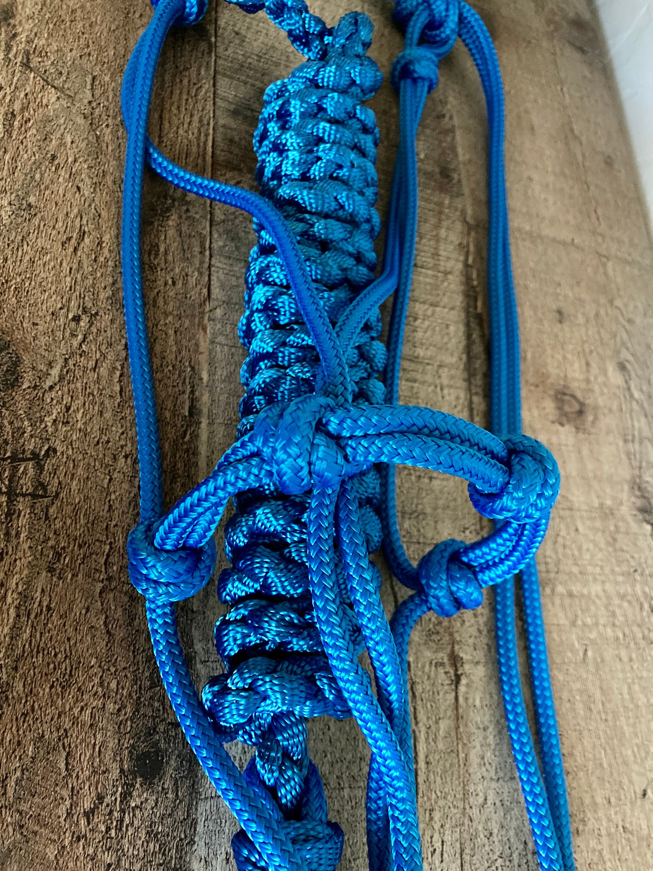 4-knot Rope Halters W/ Lead Assorted Colors Newborn/foal/mini/yearling ...