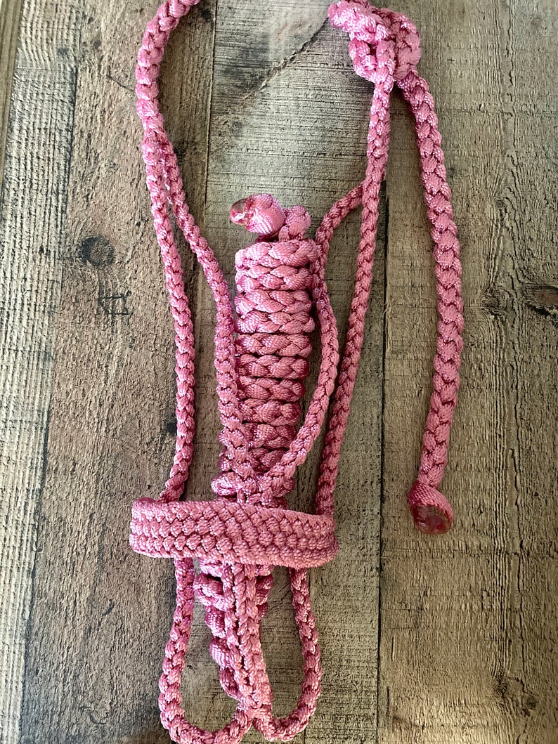Mule Tape Halter W/ Lead Rose Pink - Etsy